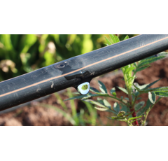 Ligne de goutteurs intégrés DRIPNET PC AS 1,0 L/H - NETAFIM