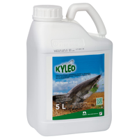 Kyleo - Jetzt kaufen!