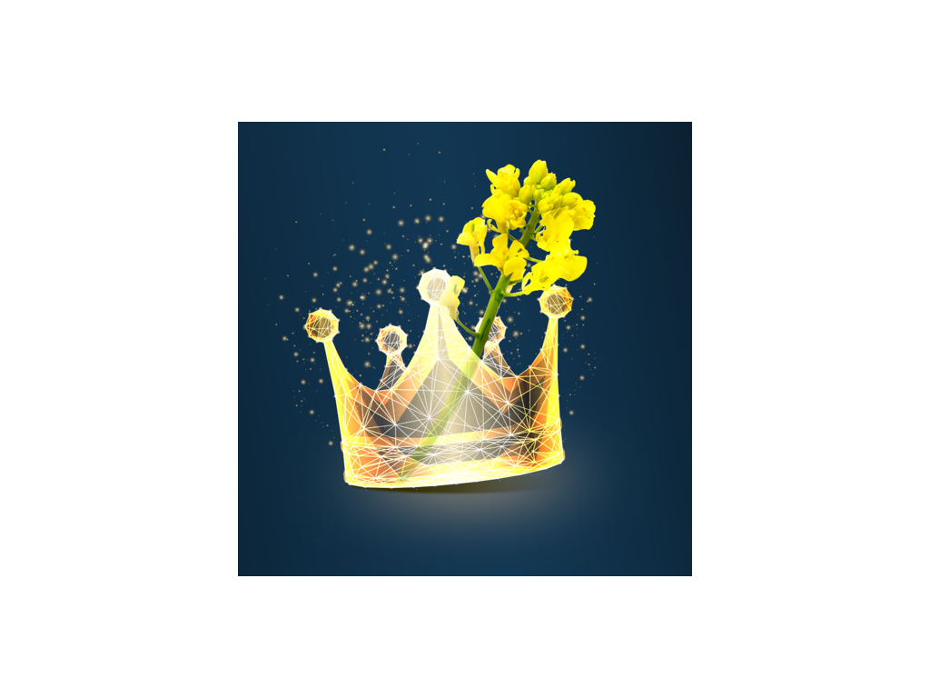 Vamos Raps günstig kaufen