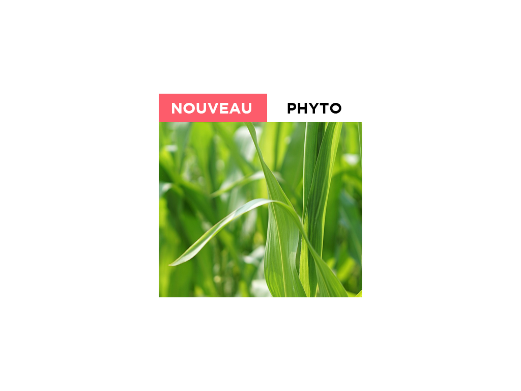 PACK ATTACK + VIBRANCE GOLD | Traitement semence