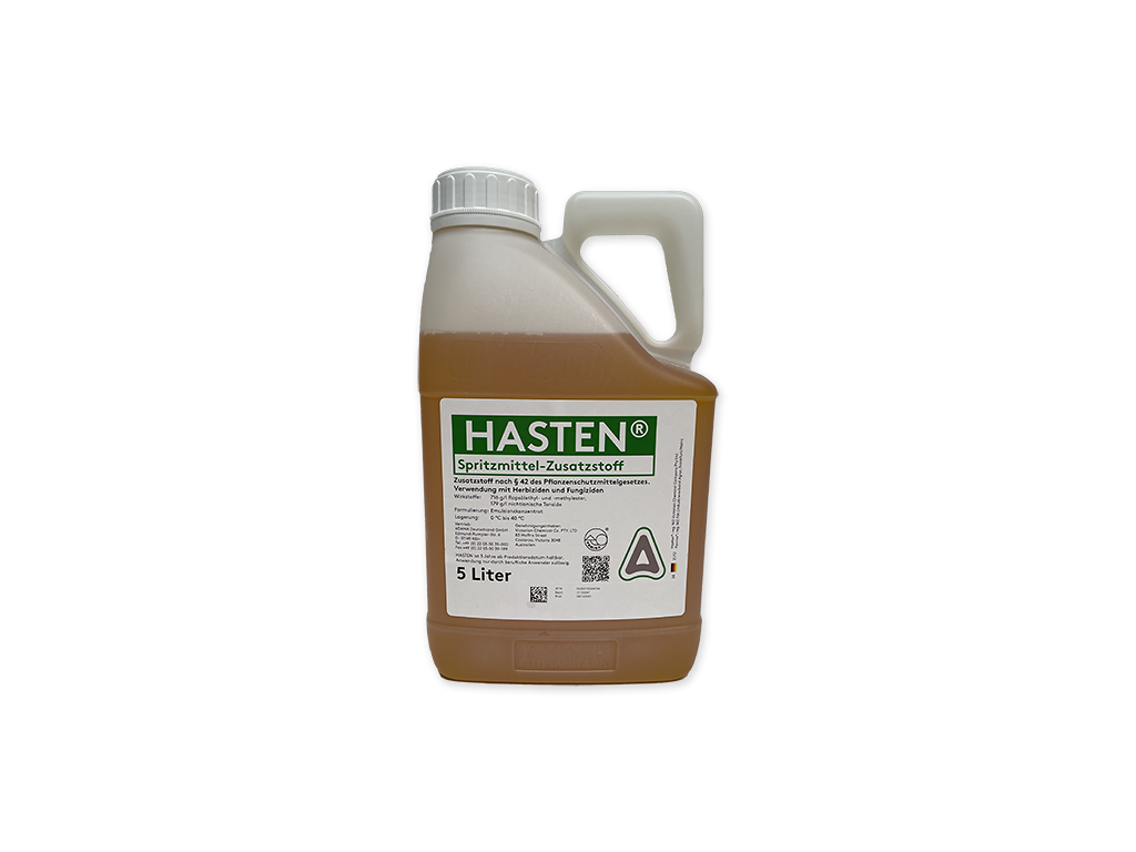 Hasten