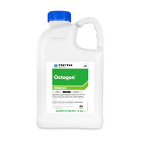 OCTOGON