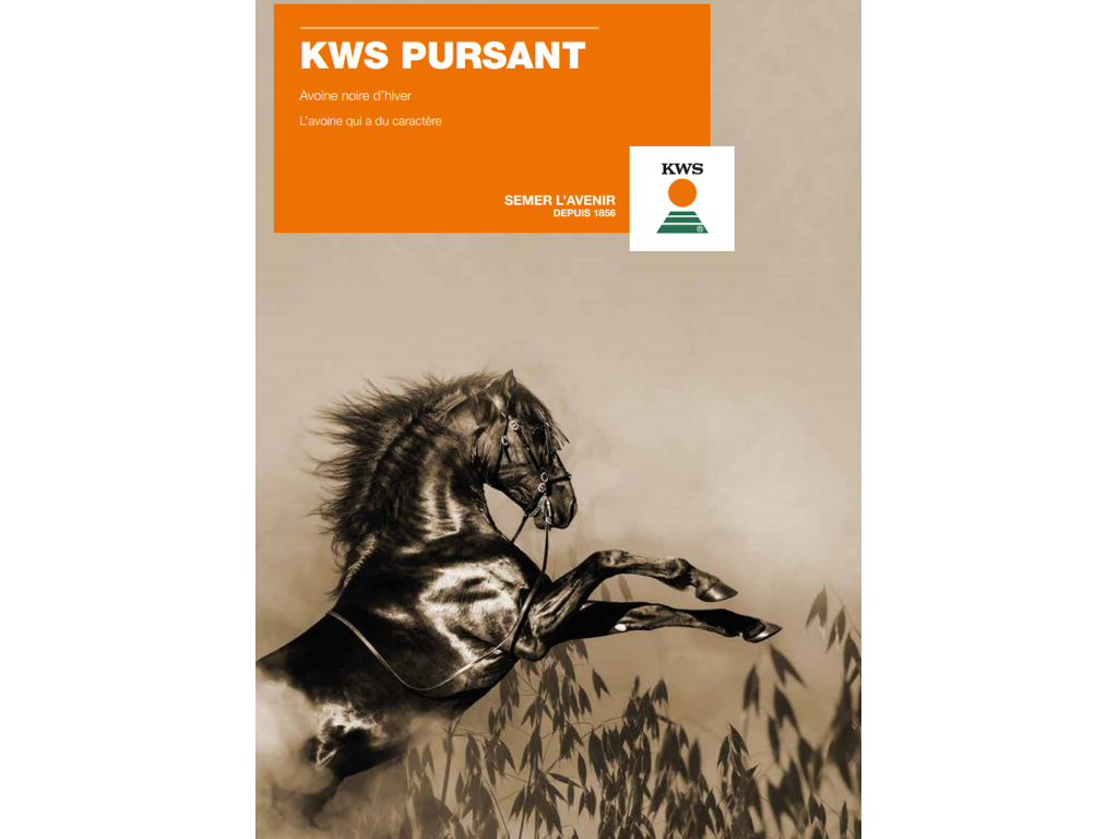 Avoine noire d'hiver - KWS Pursant
