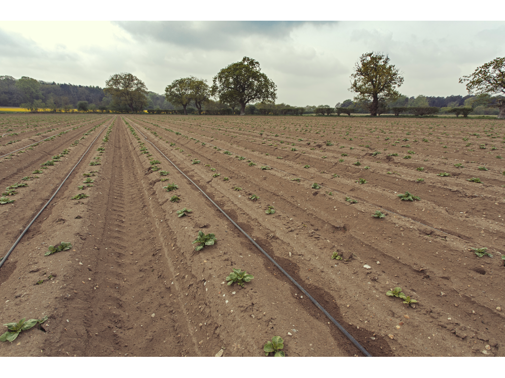 Ligne de goutteurs intégrés DRIPNET PC AS 1,0 L/H - NETAFIM