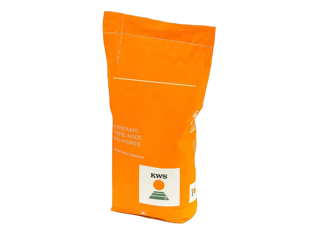 Maïs grain 260 - KWS Camillo
