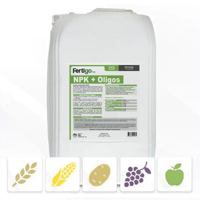 NPK + Oligos Fertigo Pro | Engrais