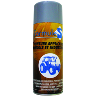 Peinture gris FENDT 6032 400mL - FORMULE S