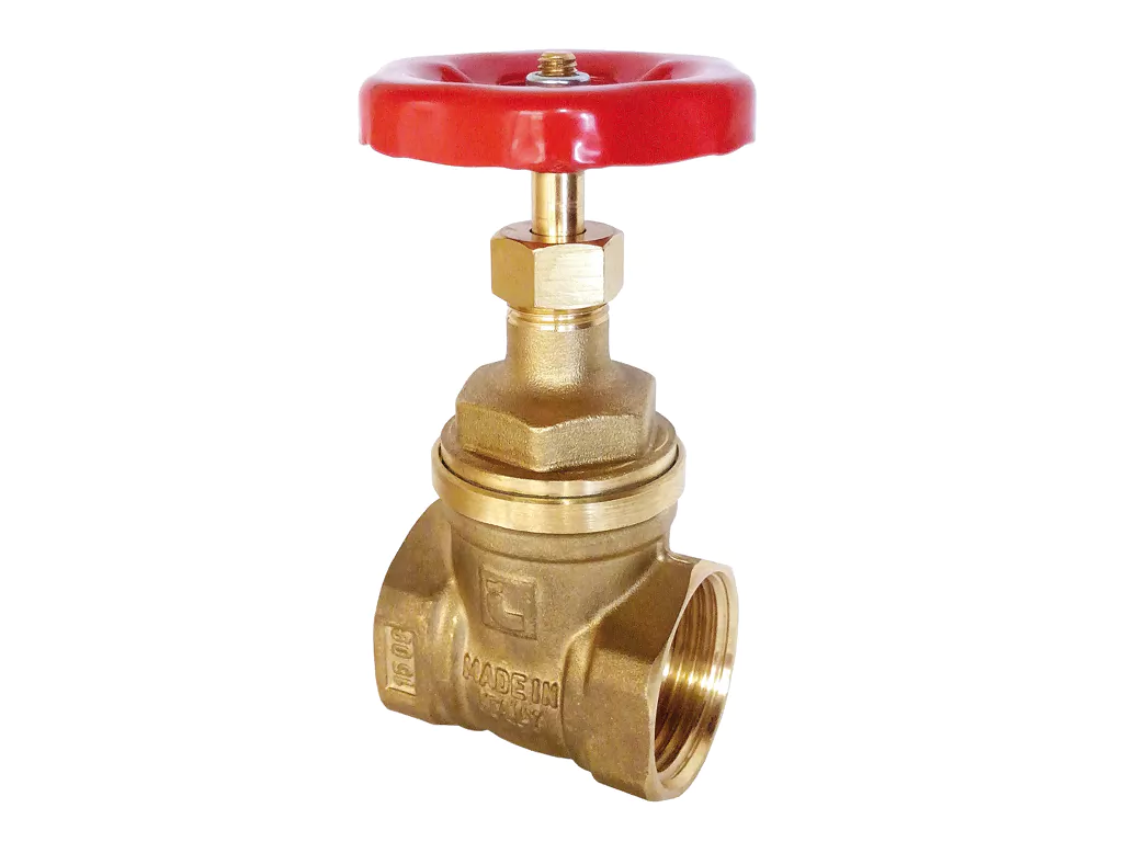 Vanne métal opercule pn16 - 4"ff NETAFIM | En stock | Agriconomie