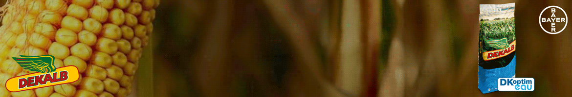 Garlon Pro - Herbicide puissant | Livraison rapide