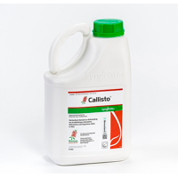 CALLISTO