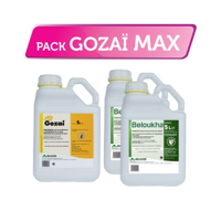 Pack Gozaï Max (5L de Gozaï + 2x5L de Beloukha)