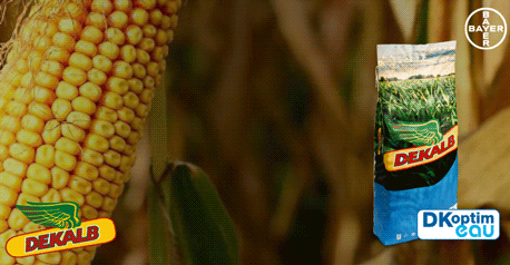 Tourteau de Soja 48% BIO Français NON-OGM - Vrac ou Big Bag ...