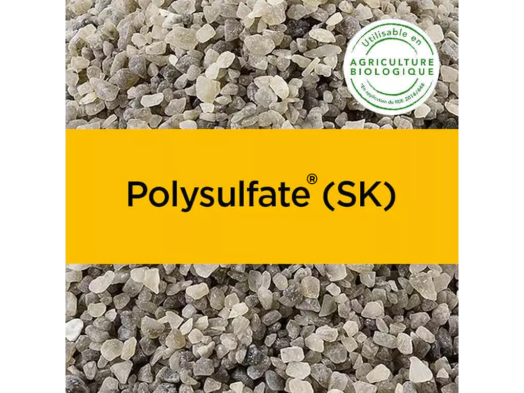Polysulfate (SK) | Engrais