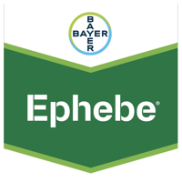 EPHEBE | Fongicide Systémique