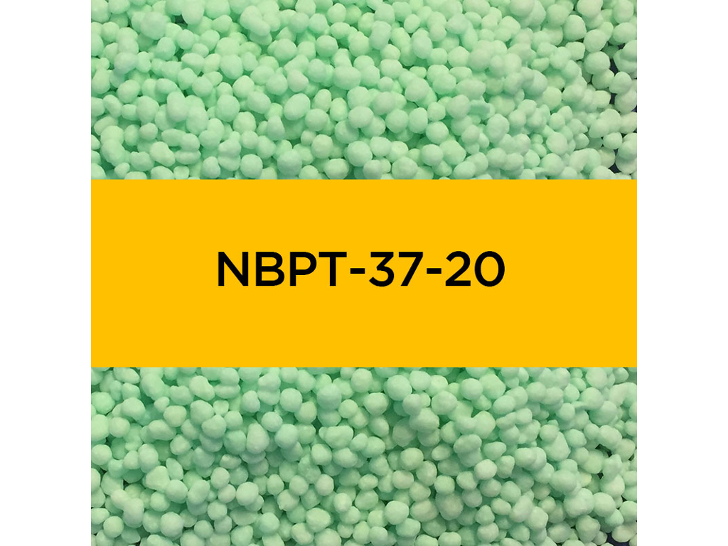 N37 + 19 S03 - mit Urease-Inhibitor NBPT