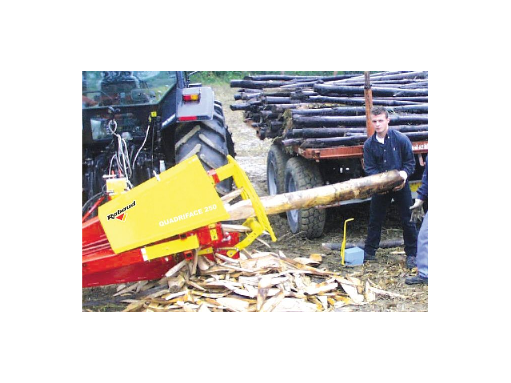 Appointeuse de pieux biface - RABAUD