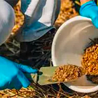 Análisis y muestras. La mejor relación calidad/precio de la web ...