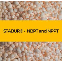 Effektiver STABUR® NBPT & NPPT Harnstoffdünger für ertragreiche Ernten kaufen