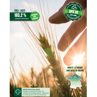 SY Transition - Blé Barbu - Semence de Blé Tendre d'hiver