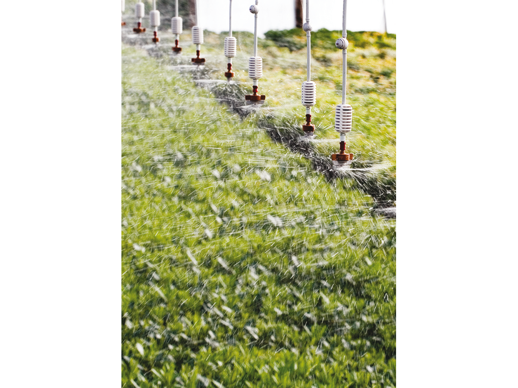 Lot de 100 têtes micro-asperseur spinnet 50l/h à 200l/h 4 mm | NETAFIM