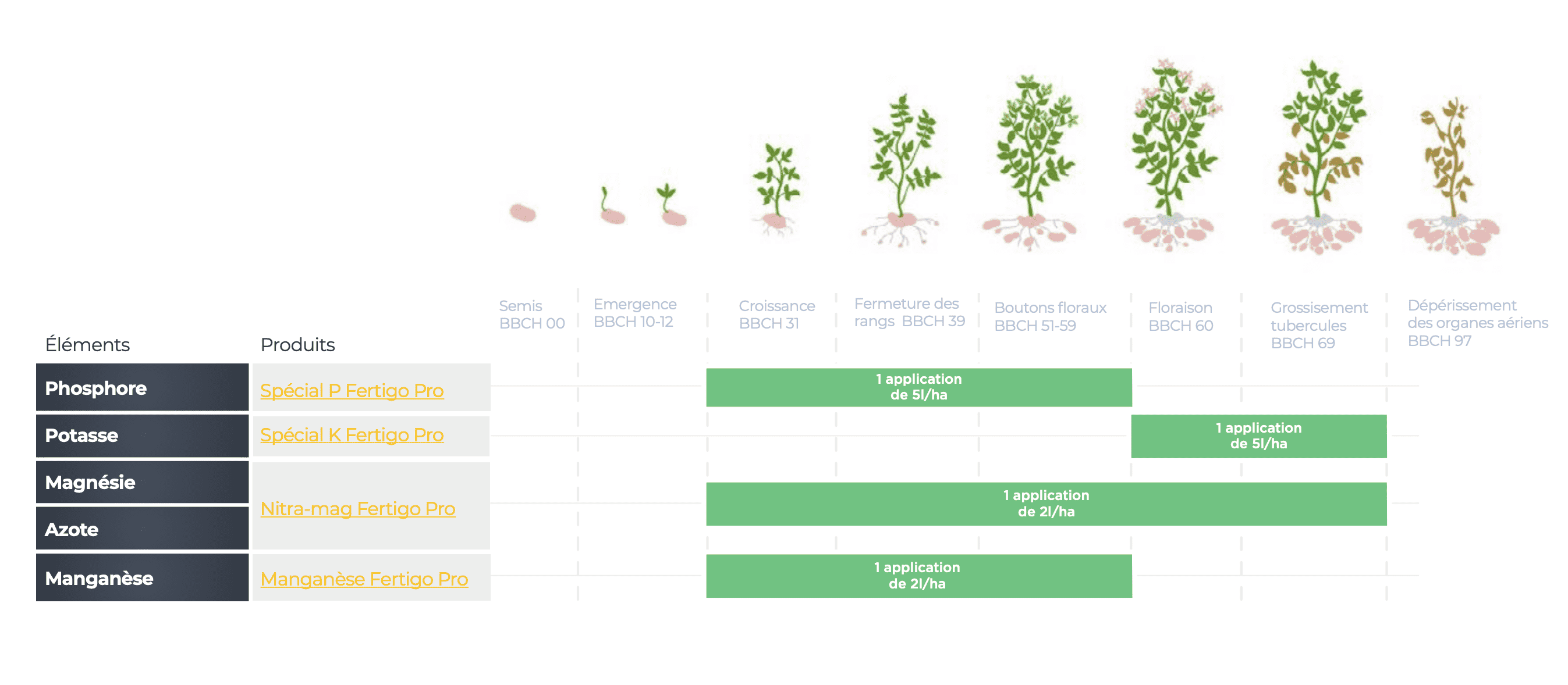 Programme de fertilisation foliaire pour les pommes de terre