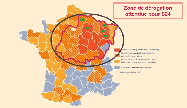 MINECTO GOLD - Anti Altise | Insecticide Colza